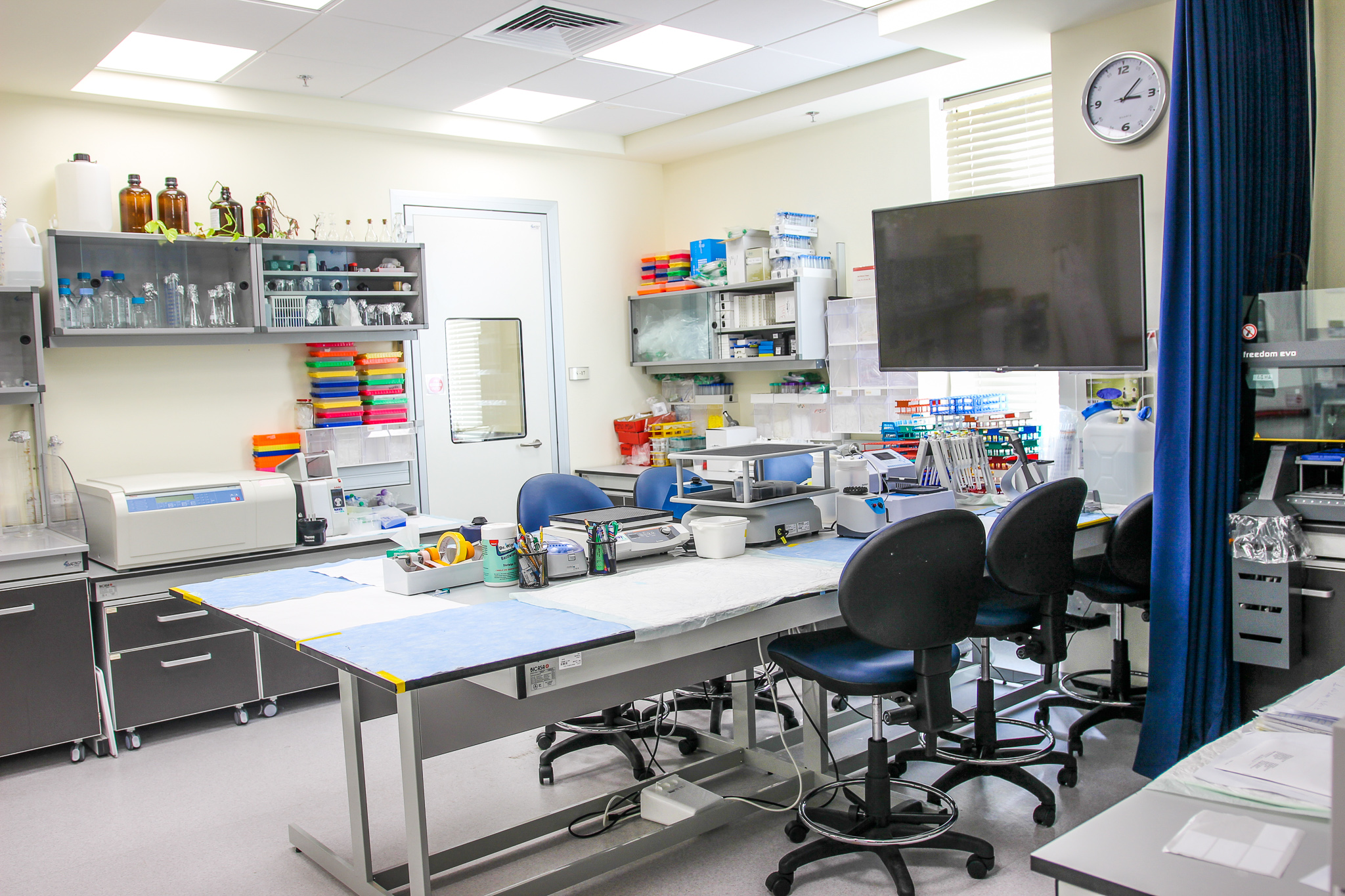 Hormonal Lab - Ruth Feldman Lab